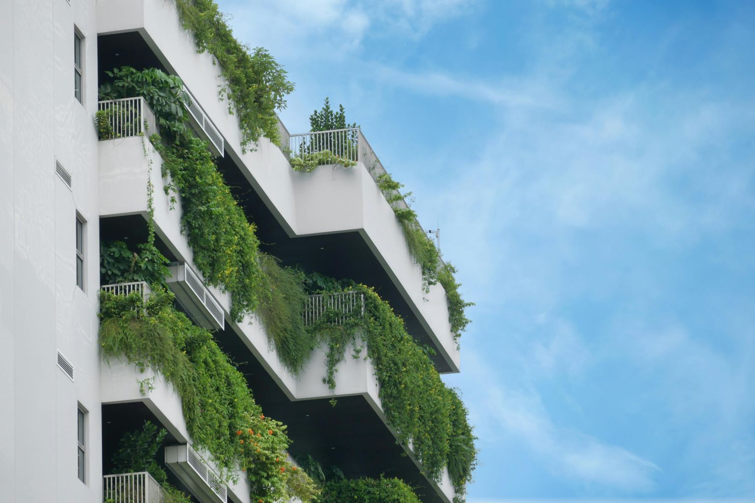 Biophilic Design in Action: How Nature Shapes Better Cities ...